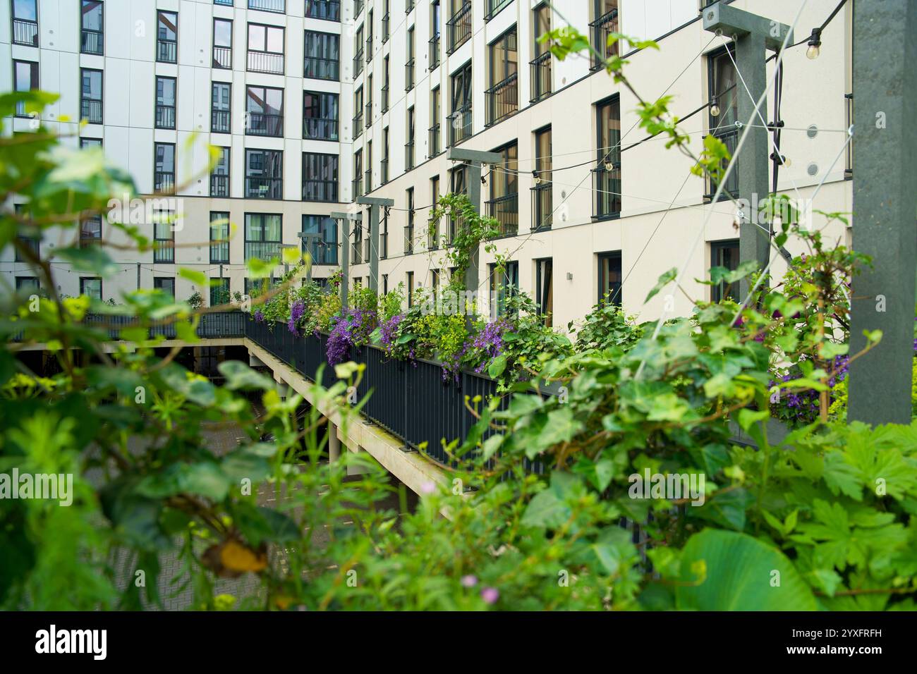 Vertical green facade garden. Living wall for urban greening ...