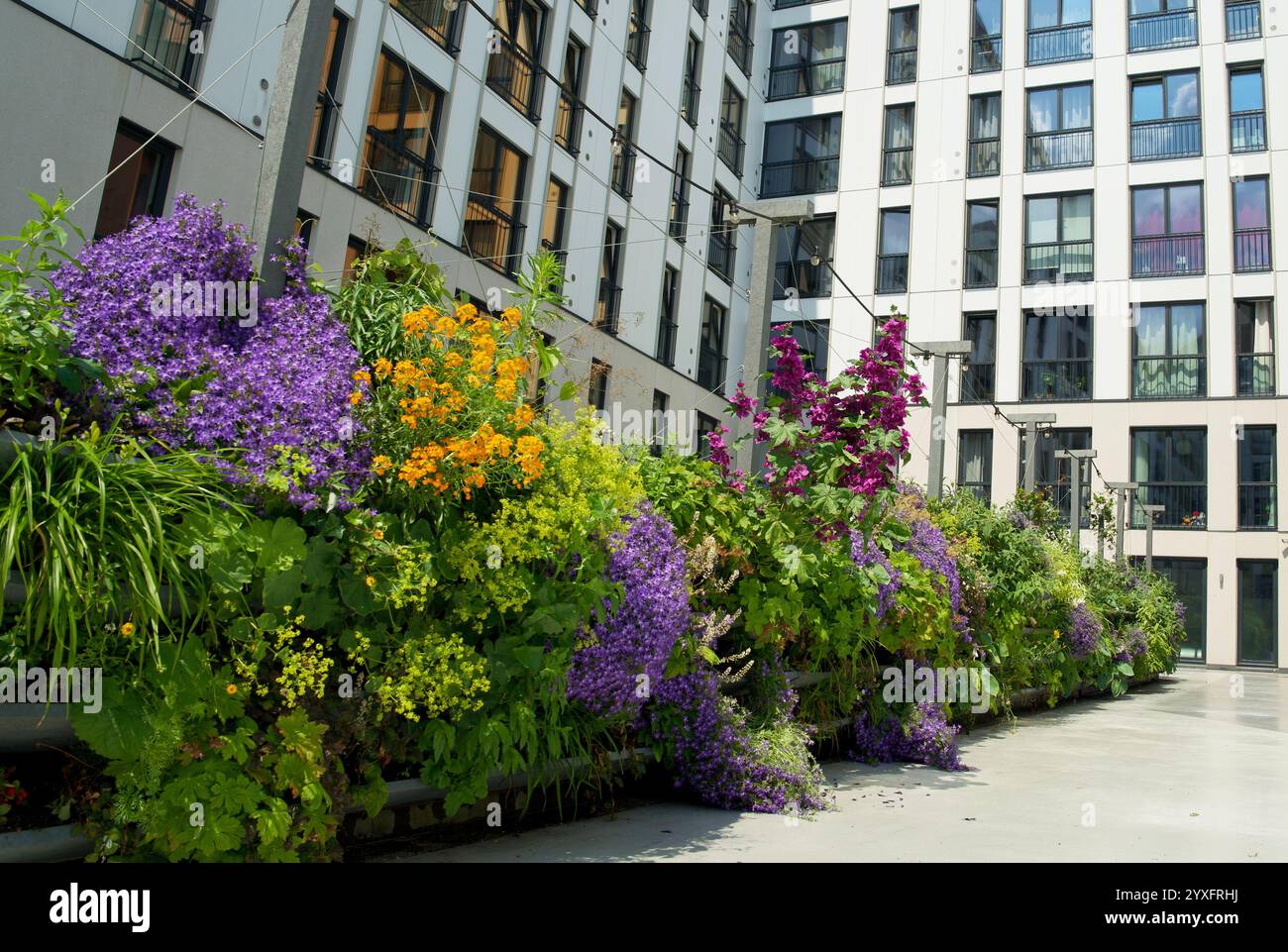 Vertical green facade garden. Living wall for urban greening ...