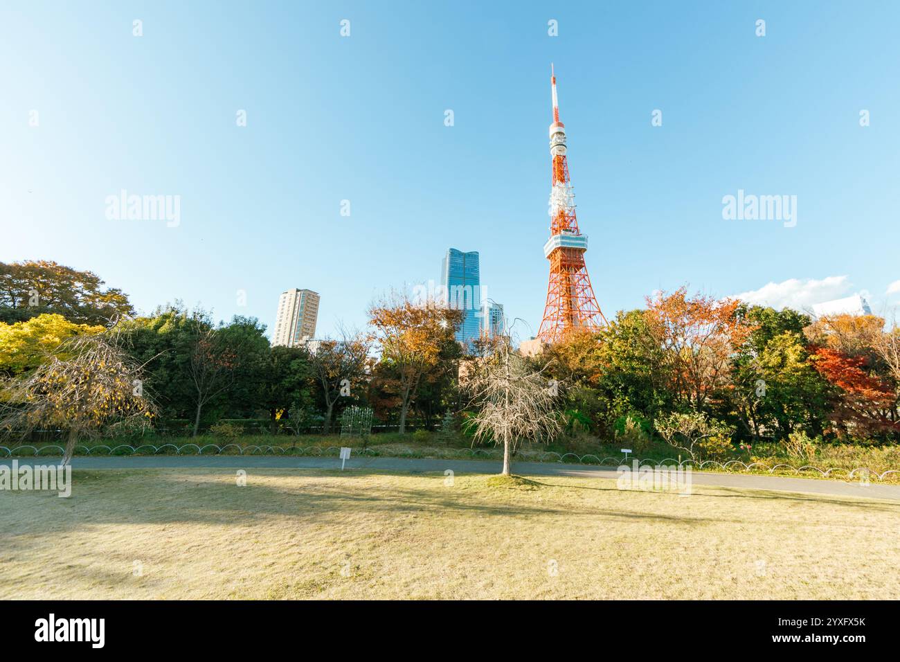 Tokyo Tower in Shiba Park, Tokyo, Japan Stock Photo - Alamy