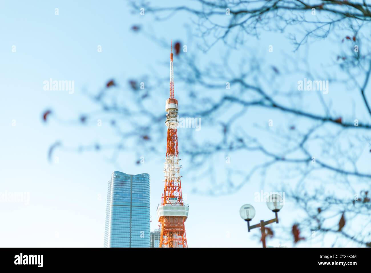 Tokyo Tower in Shiba Park, Tokyo, Japan Stock Photo - Alamy