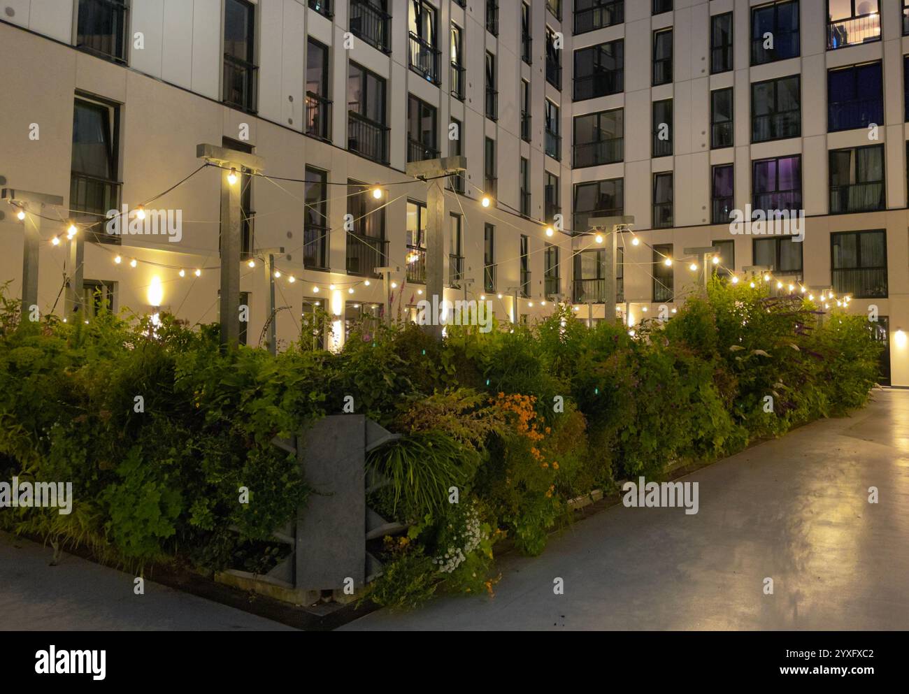 Vertical green facade garden. Living wall for urban greening ...