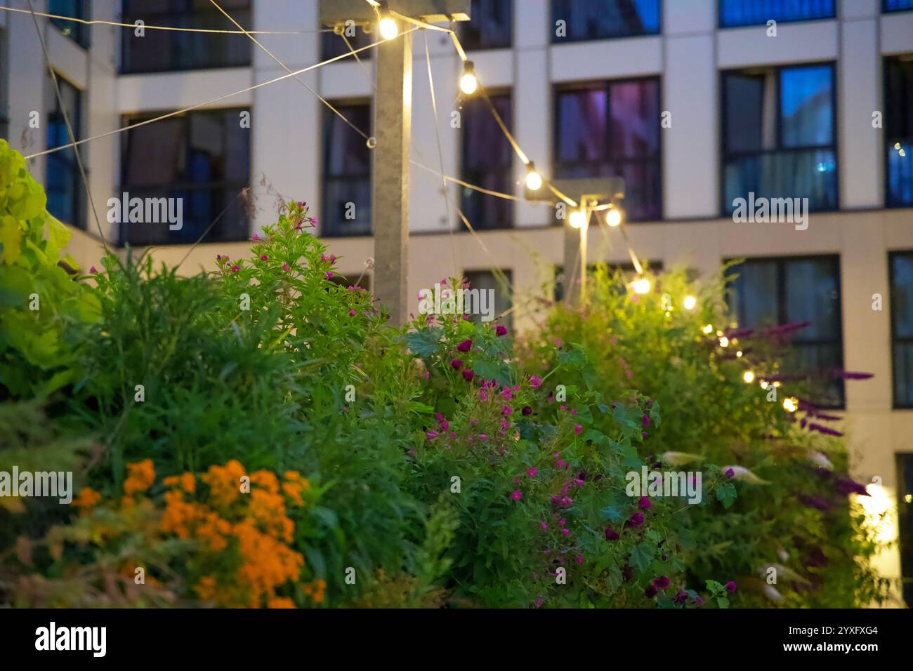 Vertical green facade garden. Living wall for urban greening ...