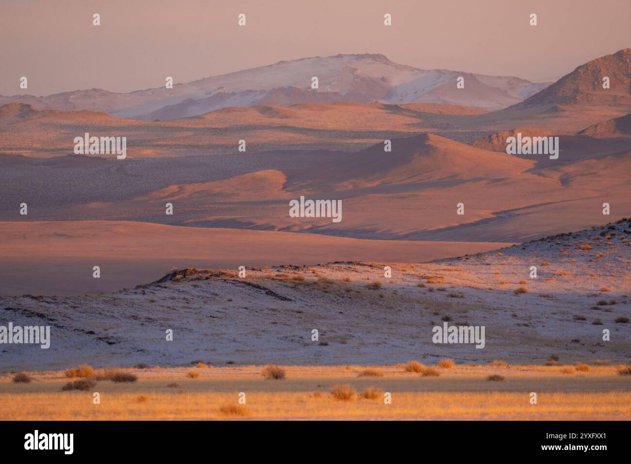 Dry temperate steppe and mountain regions in western Mongolia. Steppe ...