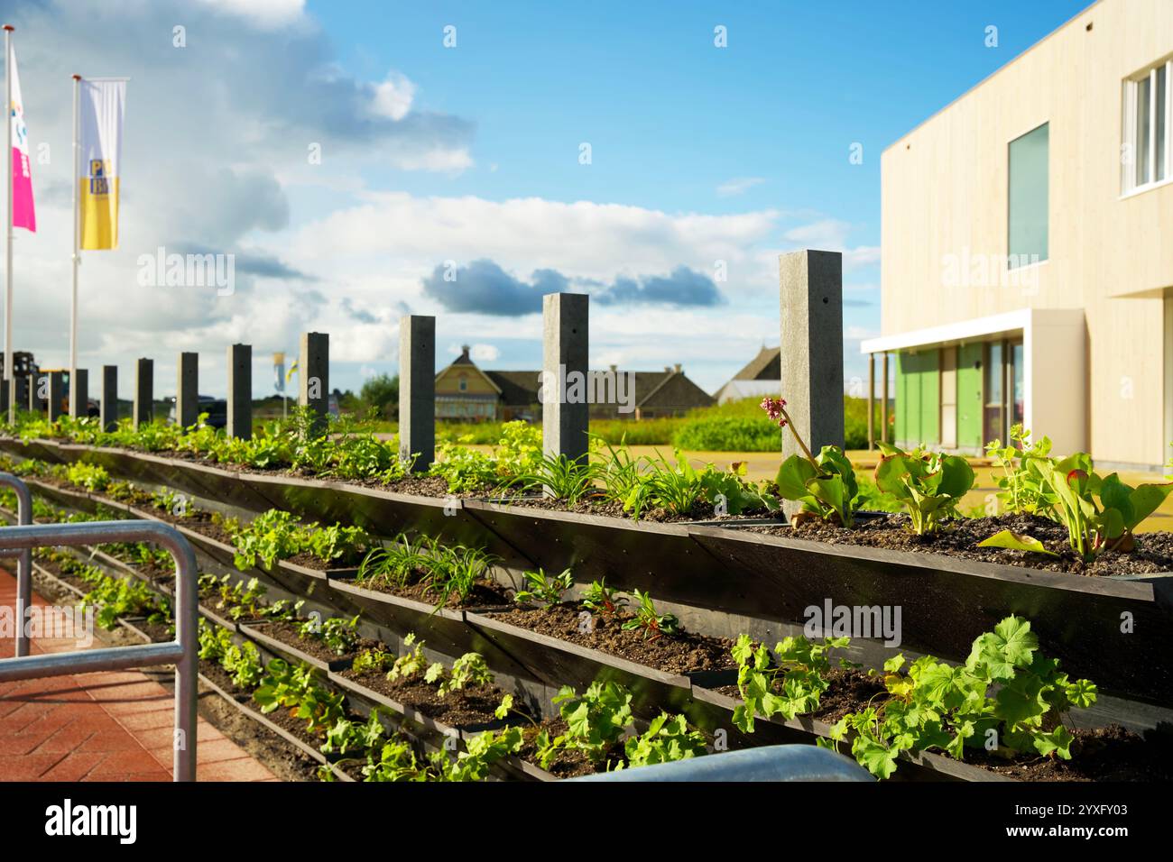 Vertical green facade garden. Living wall for urban greening ...