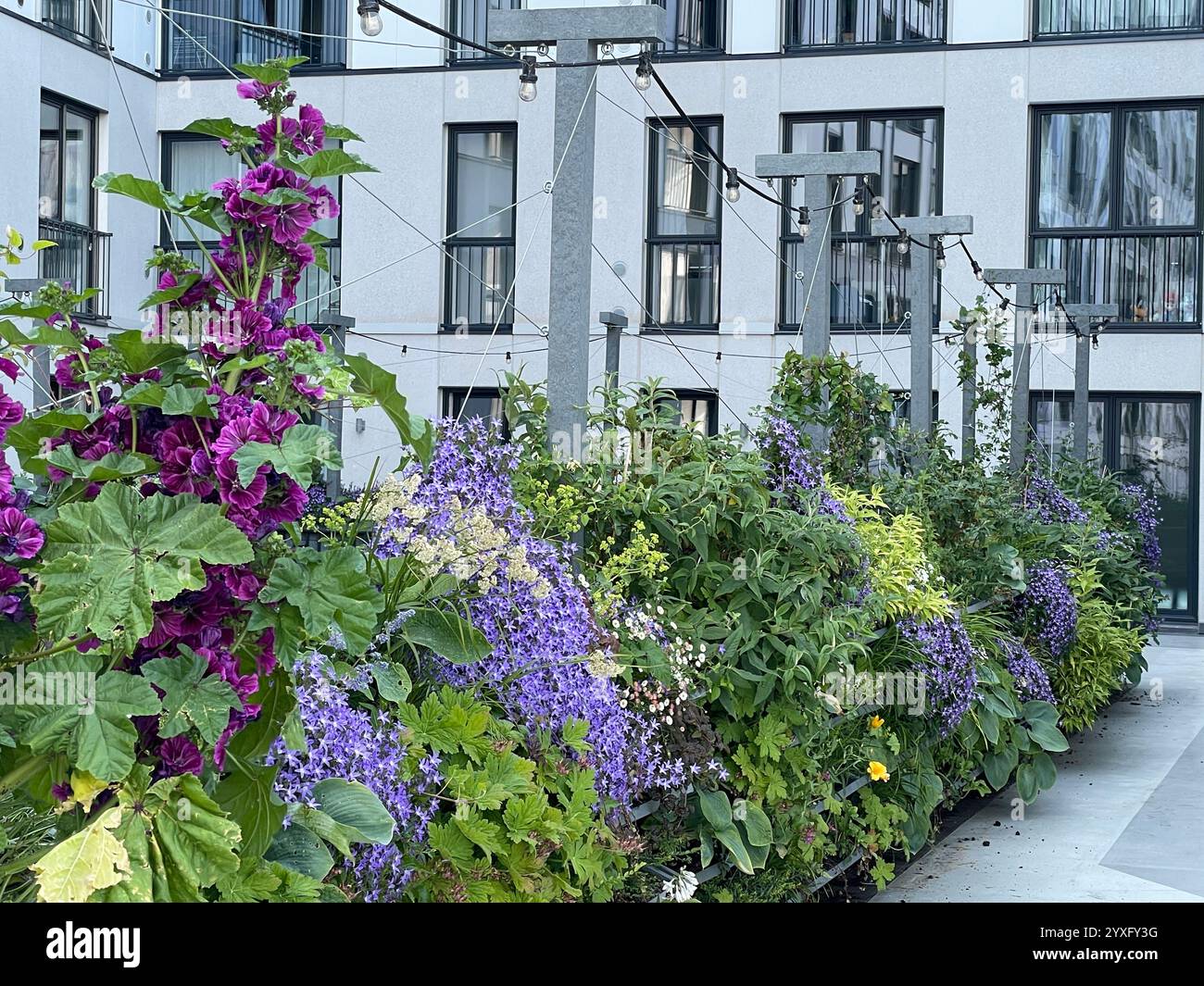Vertical green facade garden. Living wall for urban greening ...