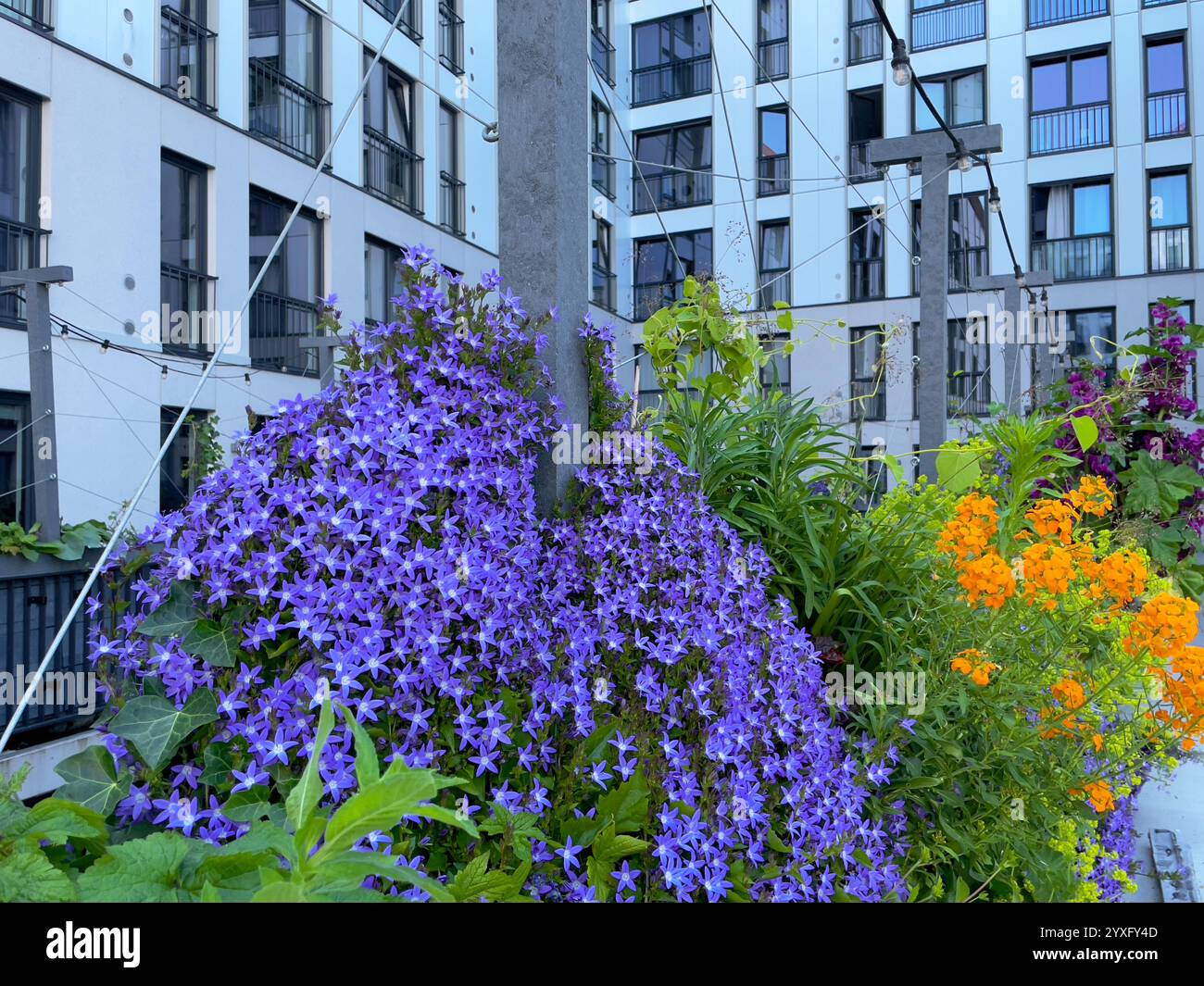 Vertical green facade garden. Living wall for urban greening ...