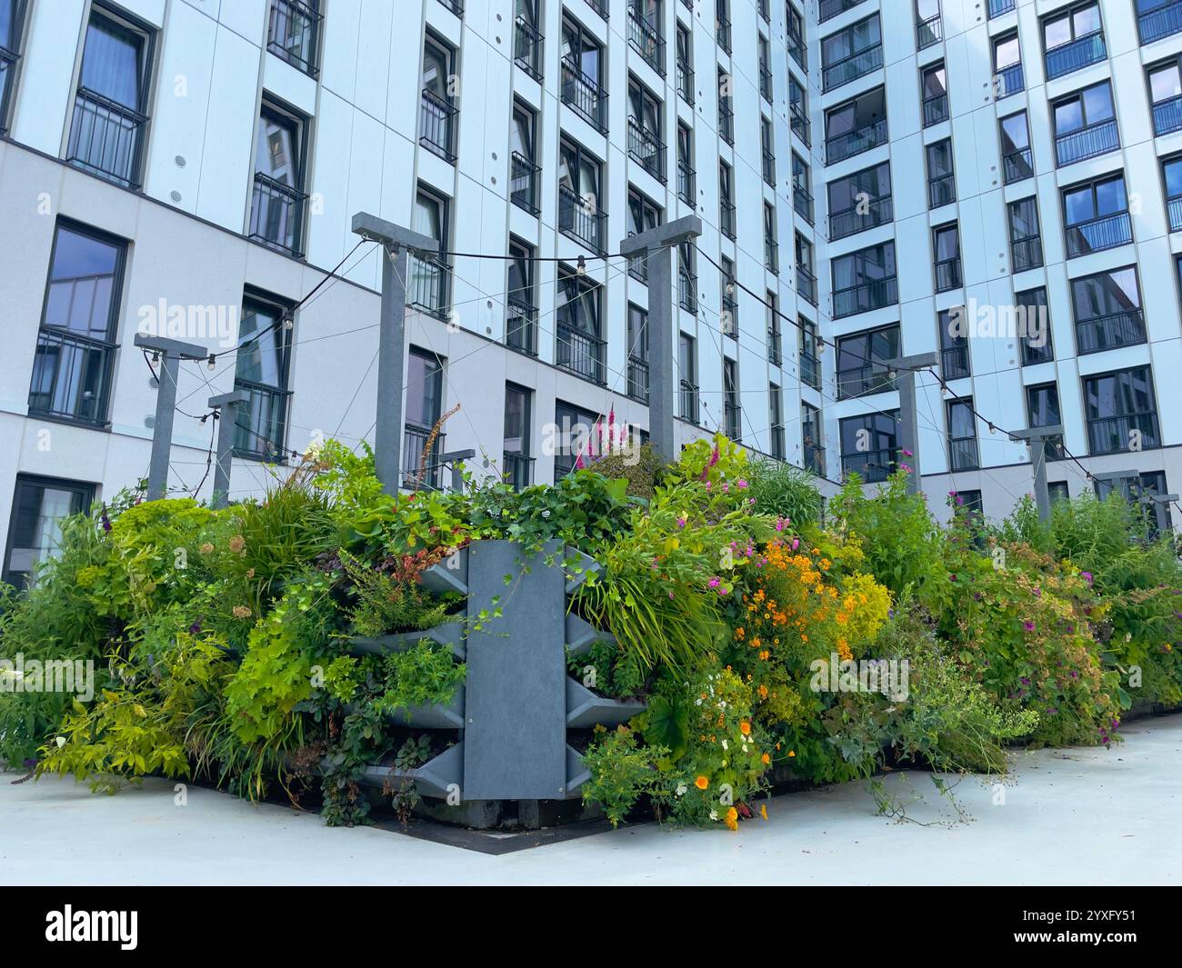 Vertical green facade garden. Living wall for urban greening ...