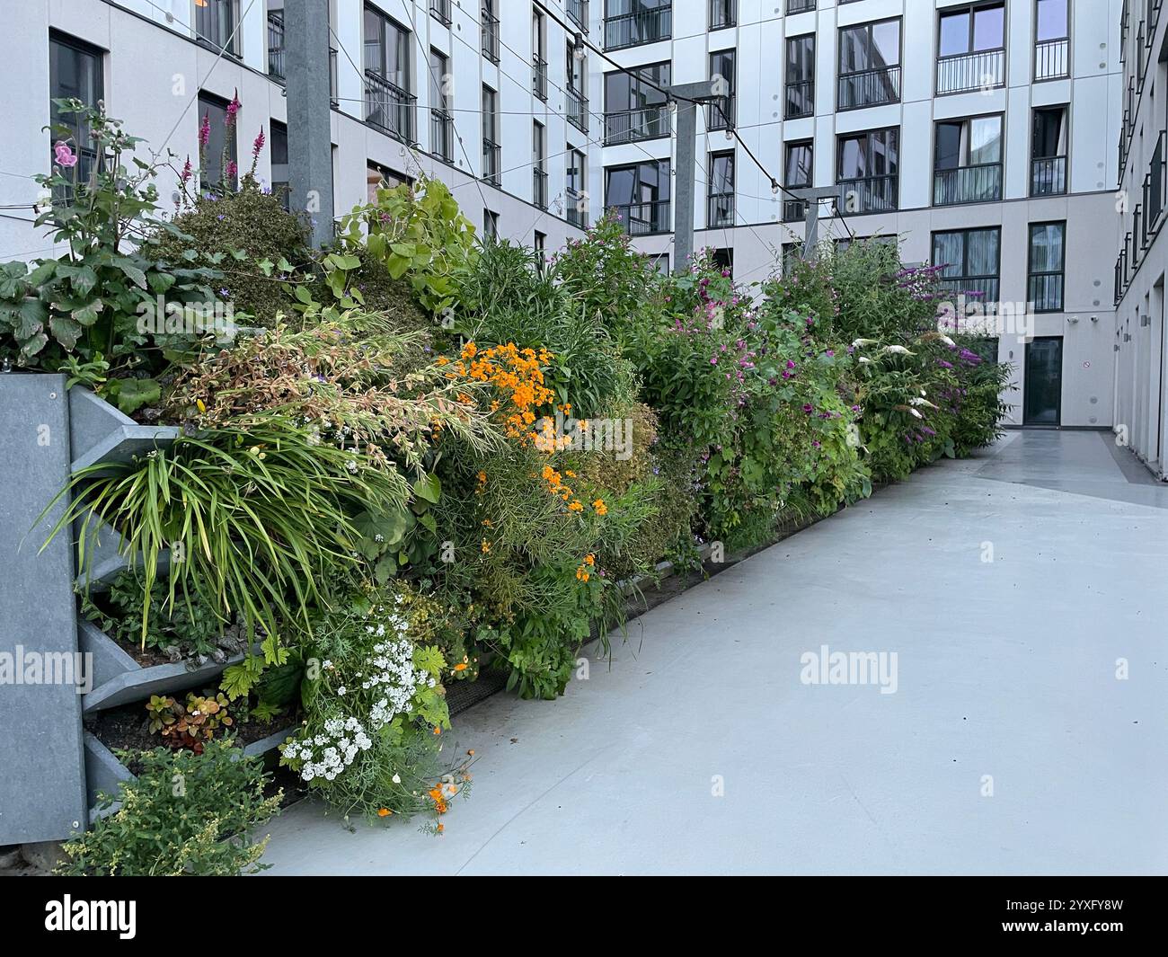 Vertical green facade garden. Living wall for urban greening ...