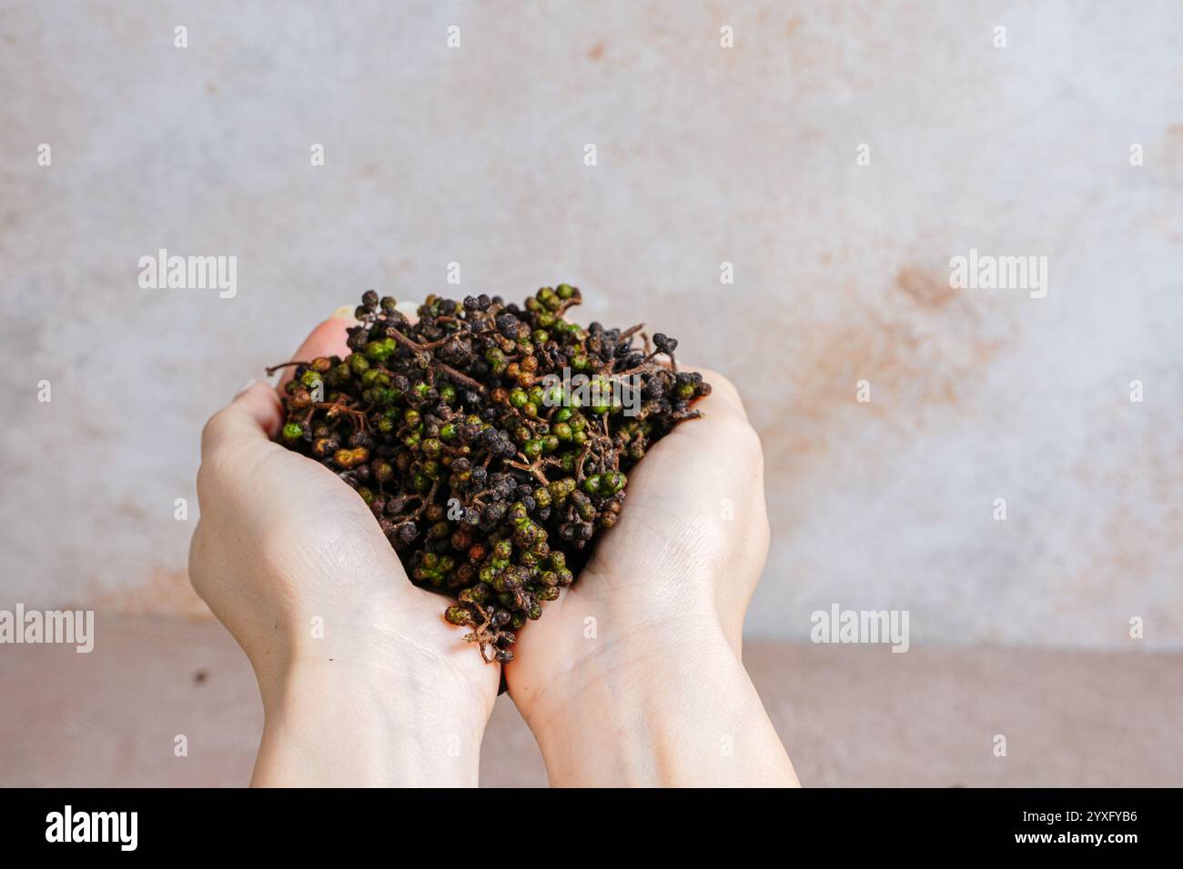 Andaliman hi-res stock photography and images - Alamy
