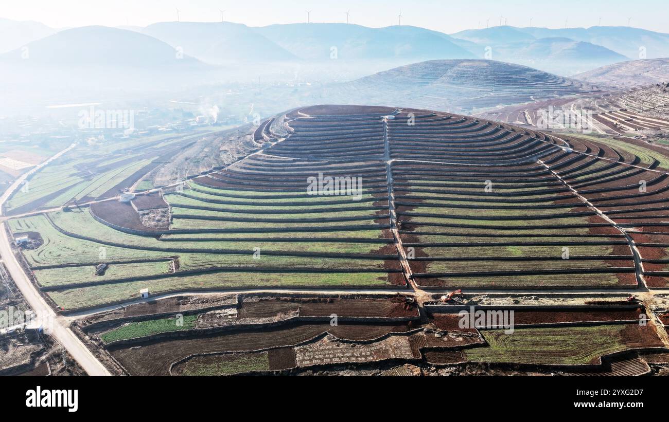 ZAOZHUANG, CHINA - DECEMBER 15, 2024 - Stacked rice terraces formed by ...