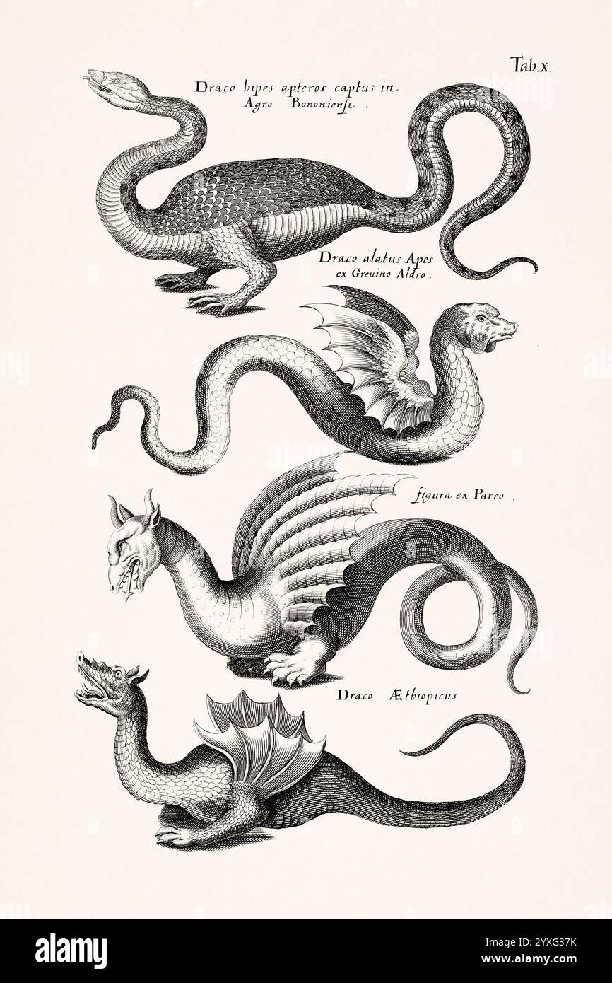 Antique illustration of fantastic animals and mythical creatures by ...