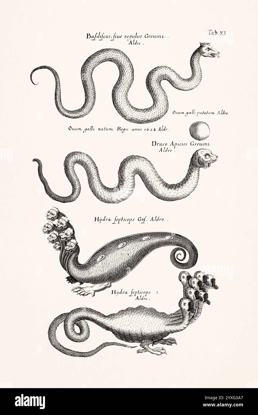 Antique illustration of fantastic animals and mythical creatures by ...