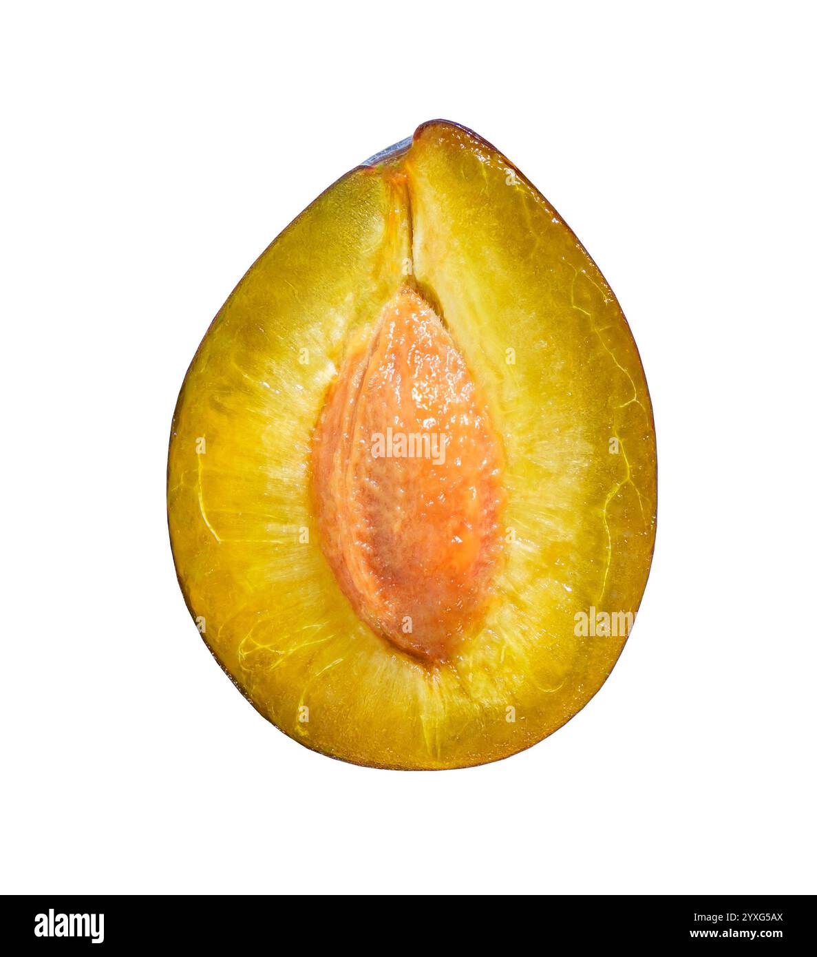 plum cut one with seed isolated on white background with clipping path ...