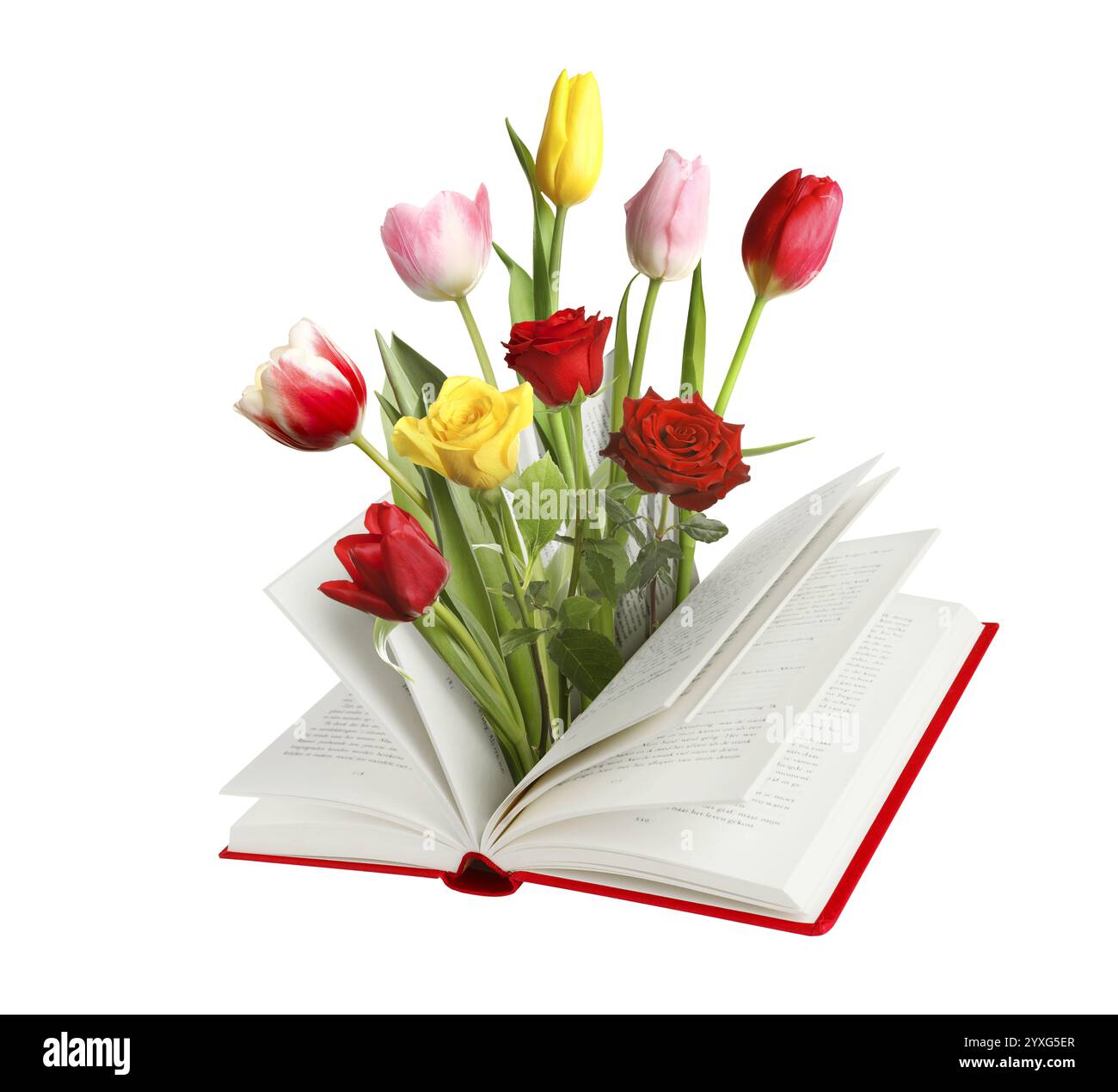Open book with beautiful flowers between pages on white background ...