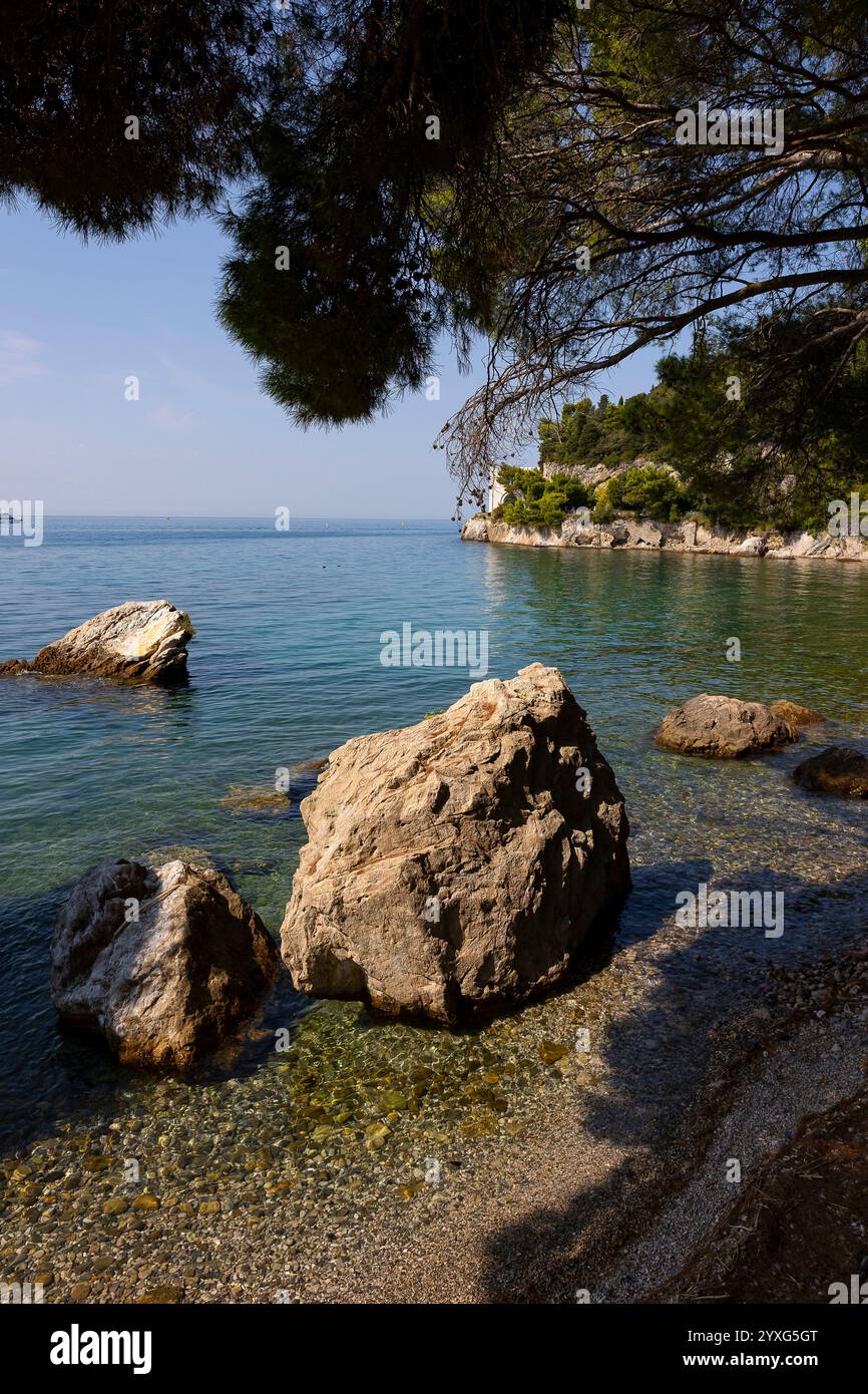 Trieste nature spot hi-res stock photography and images - Alamy