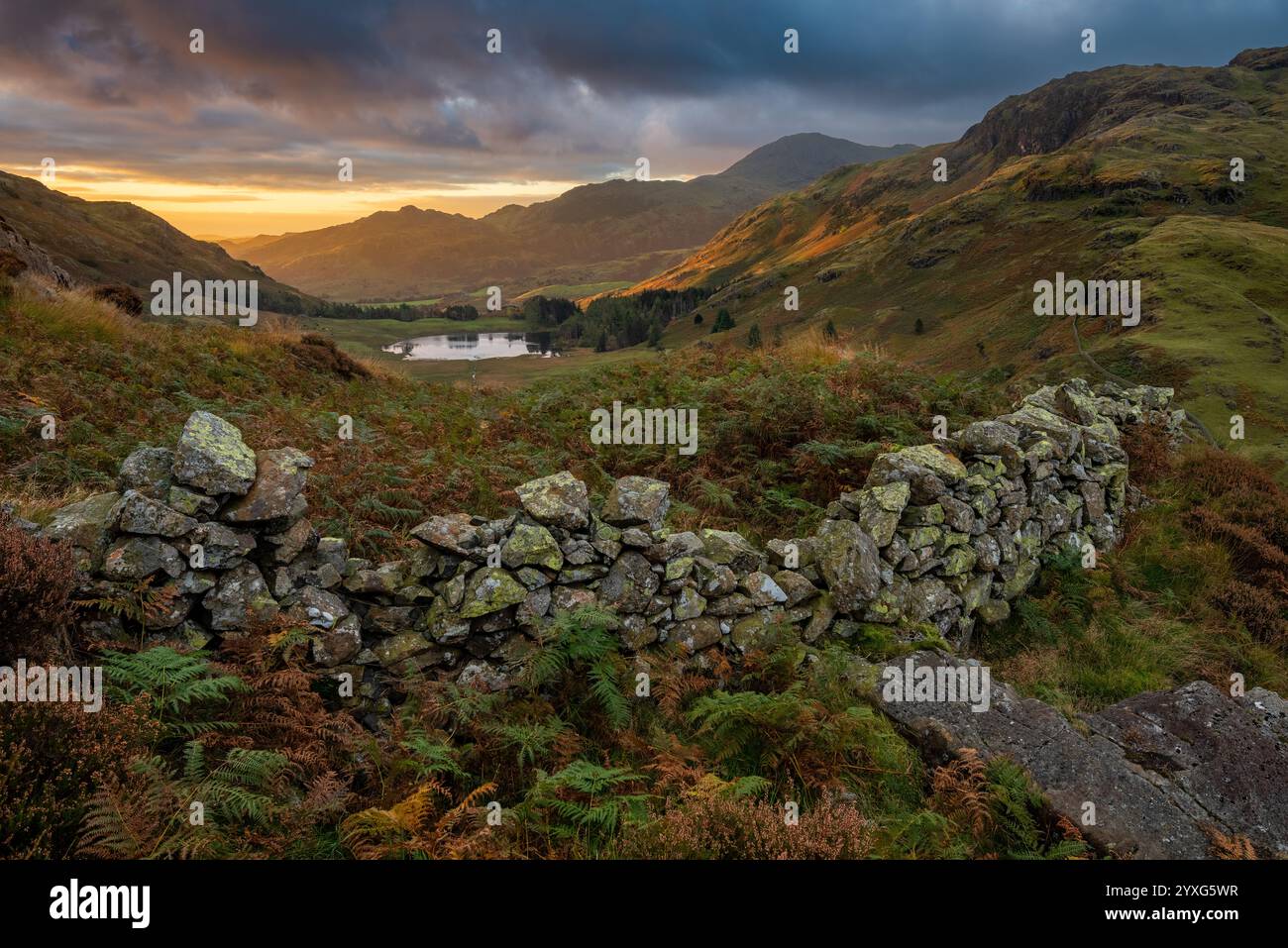 Dry stone wall with sunrise view looking over towards Blea Tarn from ...
