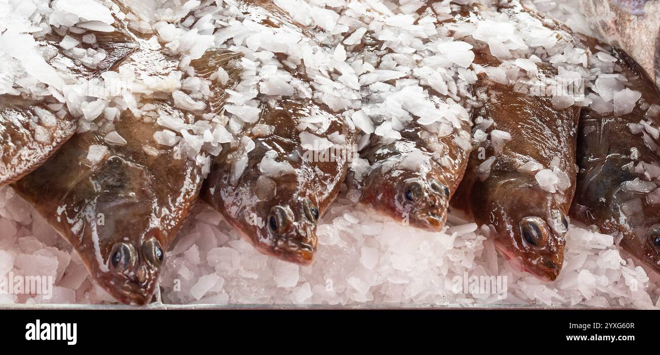 Fresh white fish on display with ice for sale in the fish market. Fresh ...