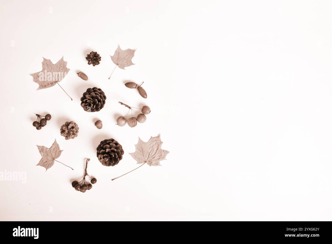 Autumn composition of natural objects for decoration. Flat lay. Top ...
