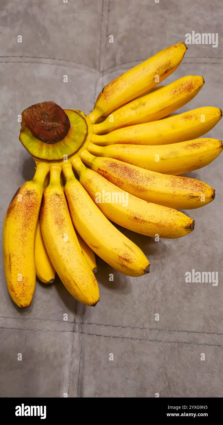 Bunch of bananas on gray background. Shopping for family. Vitamins and ...
