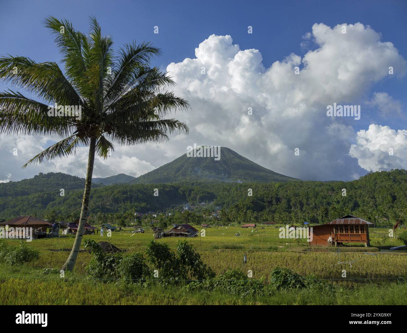 Landscape with rice paddies and huts, Lokon volcano, Tomohon, Manado ...