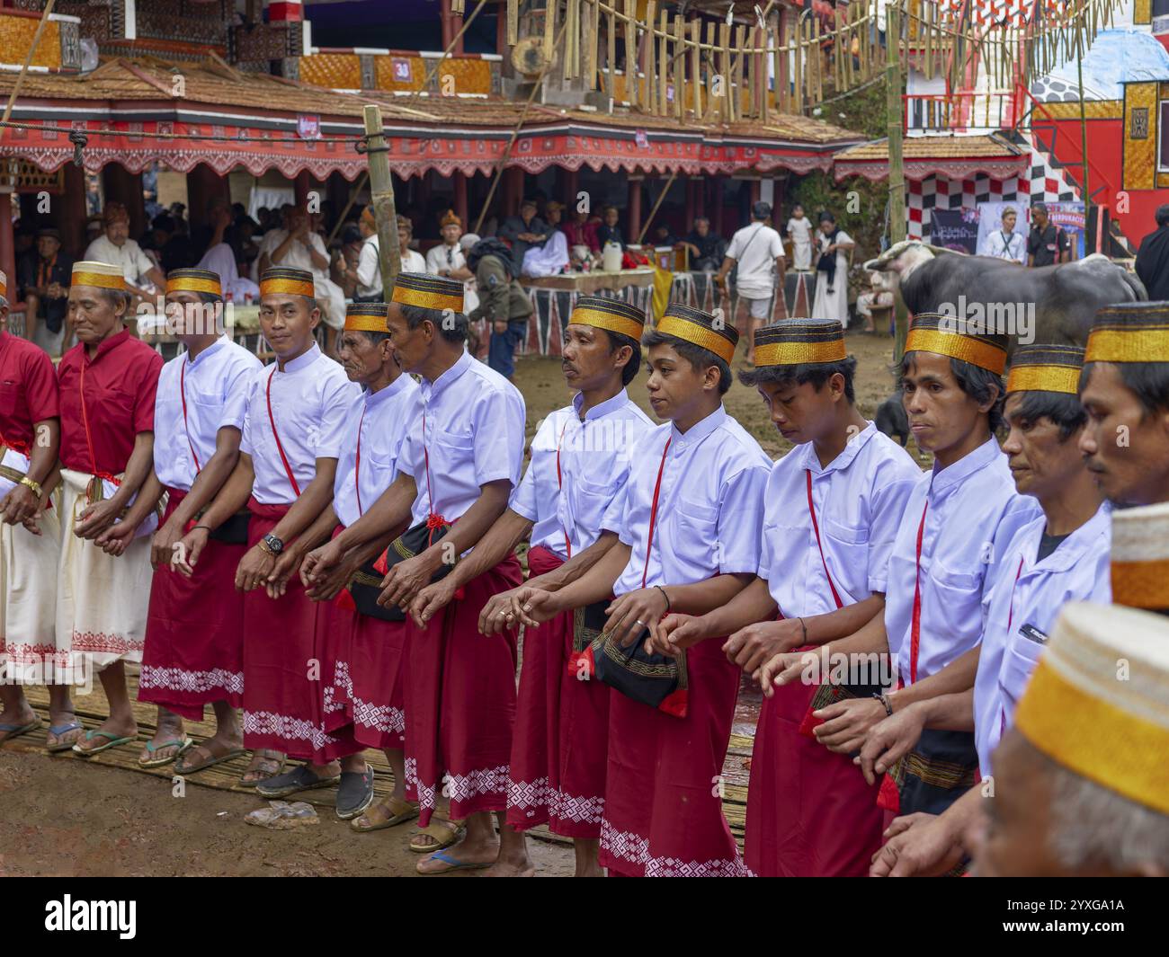 Men in traditional festive dress, funeral ceremony, Tana Toraja ...
