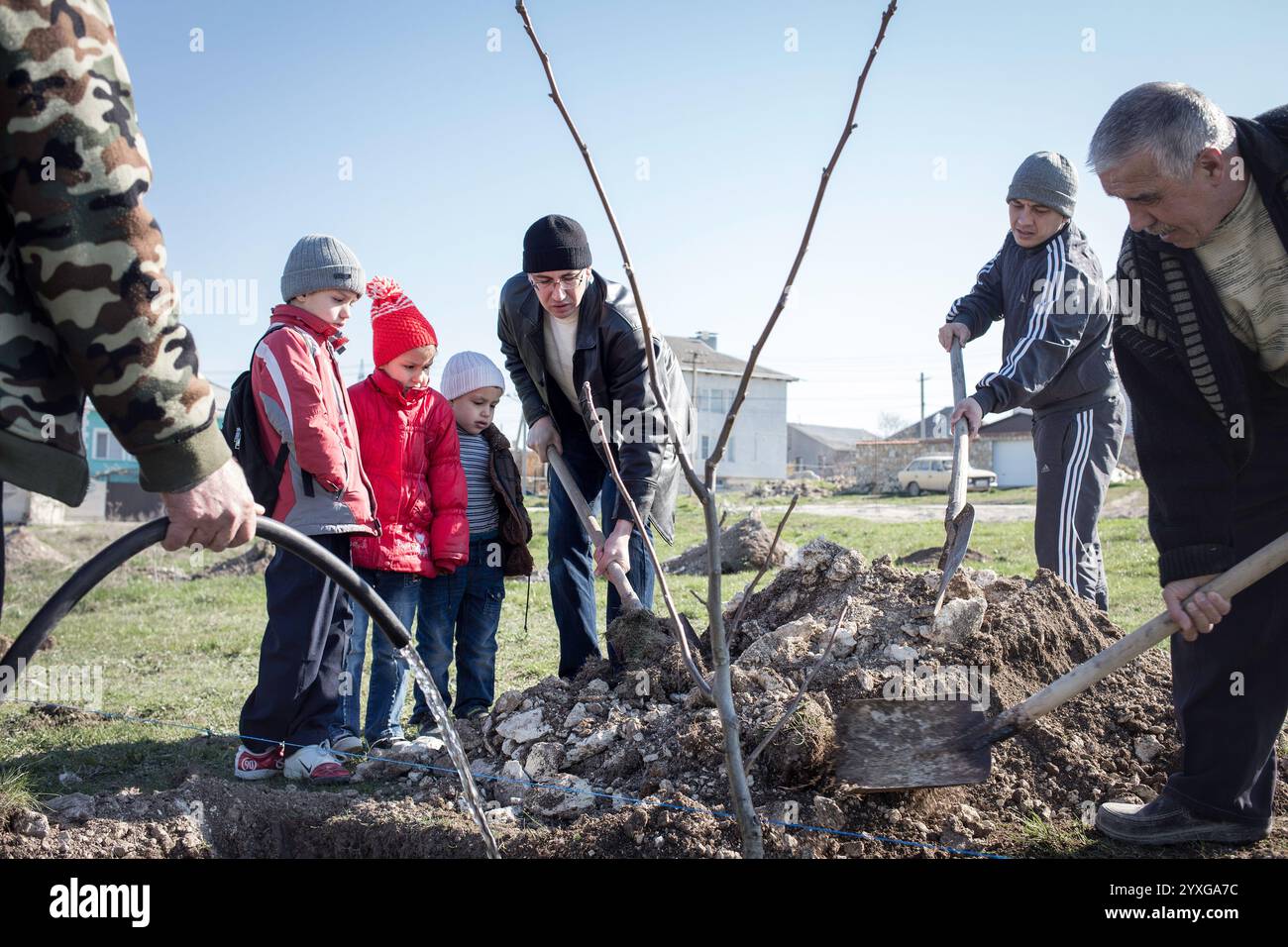 Crimean Tatars plant trees in a settlement, Crimea, Ukraine, Europe ...
