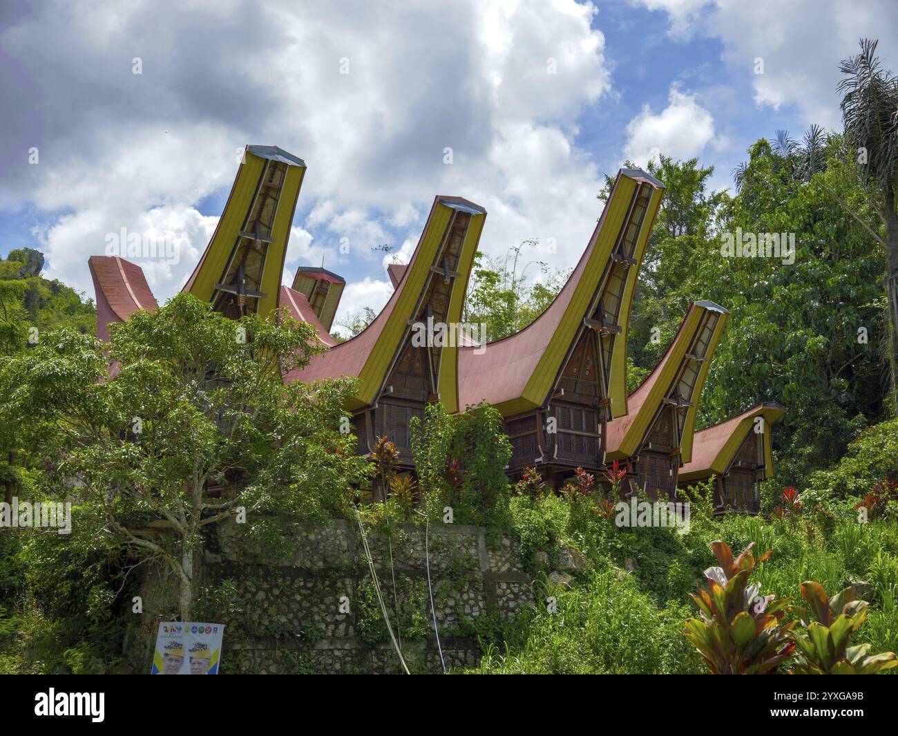 Traditional houses with curved roofs, village in Tana Toraja, Sulawesi ...