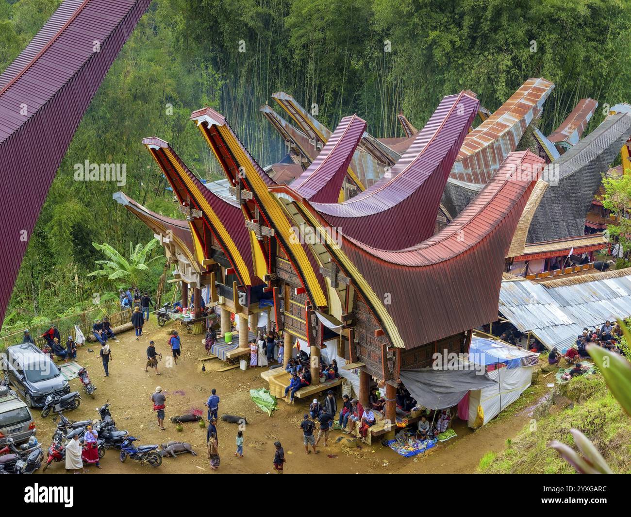 Traditional colourful houses, curved roofs, village in Tana Toraja ...