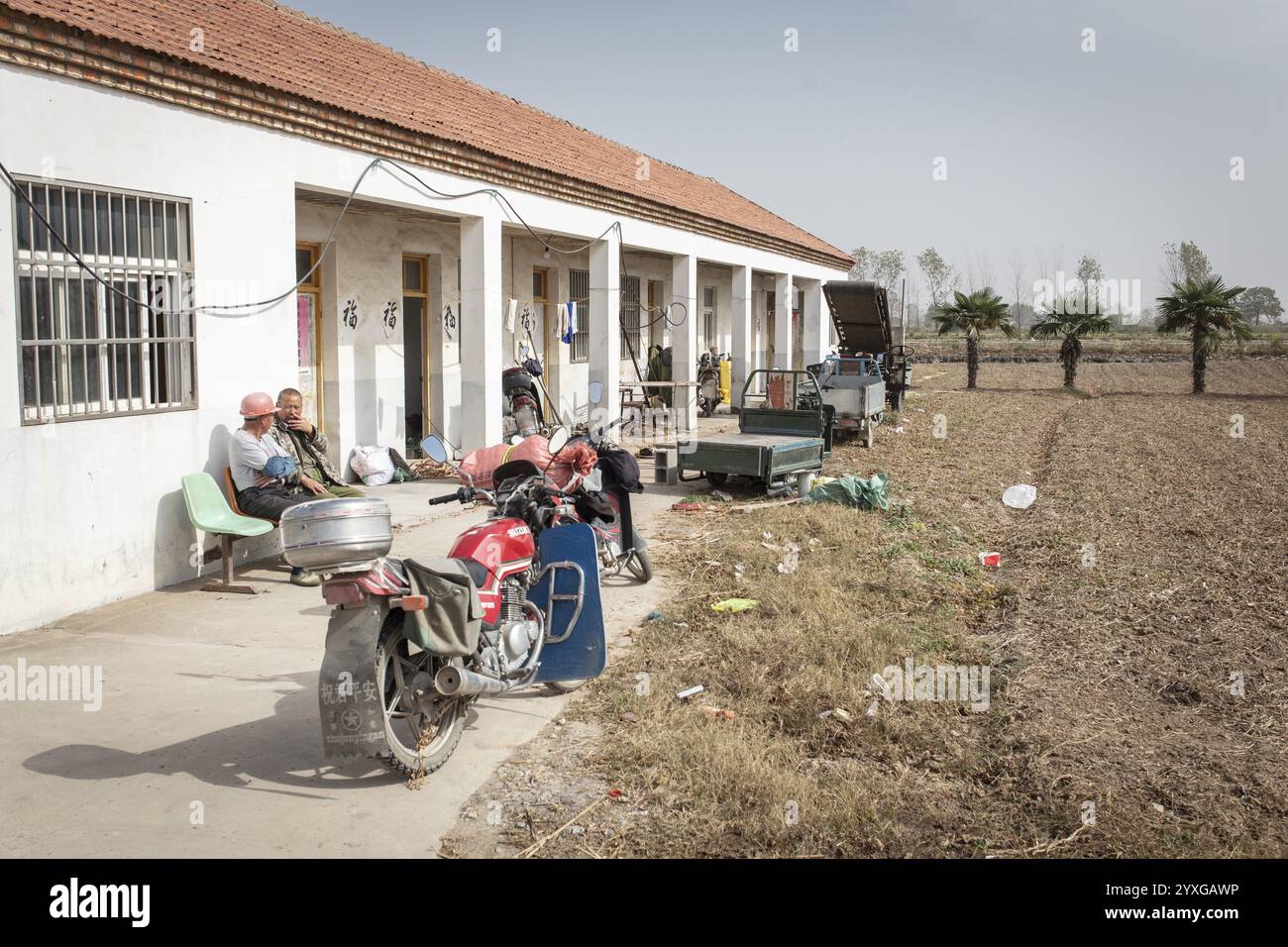 Duck breeding station, Jiang Su Salted Duck Farming Co. Ltd, Xiang Shui ...