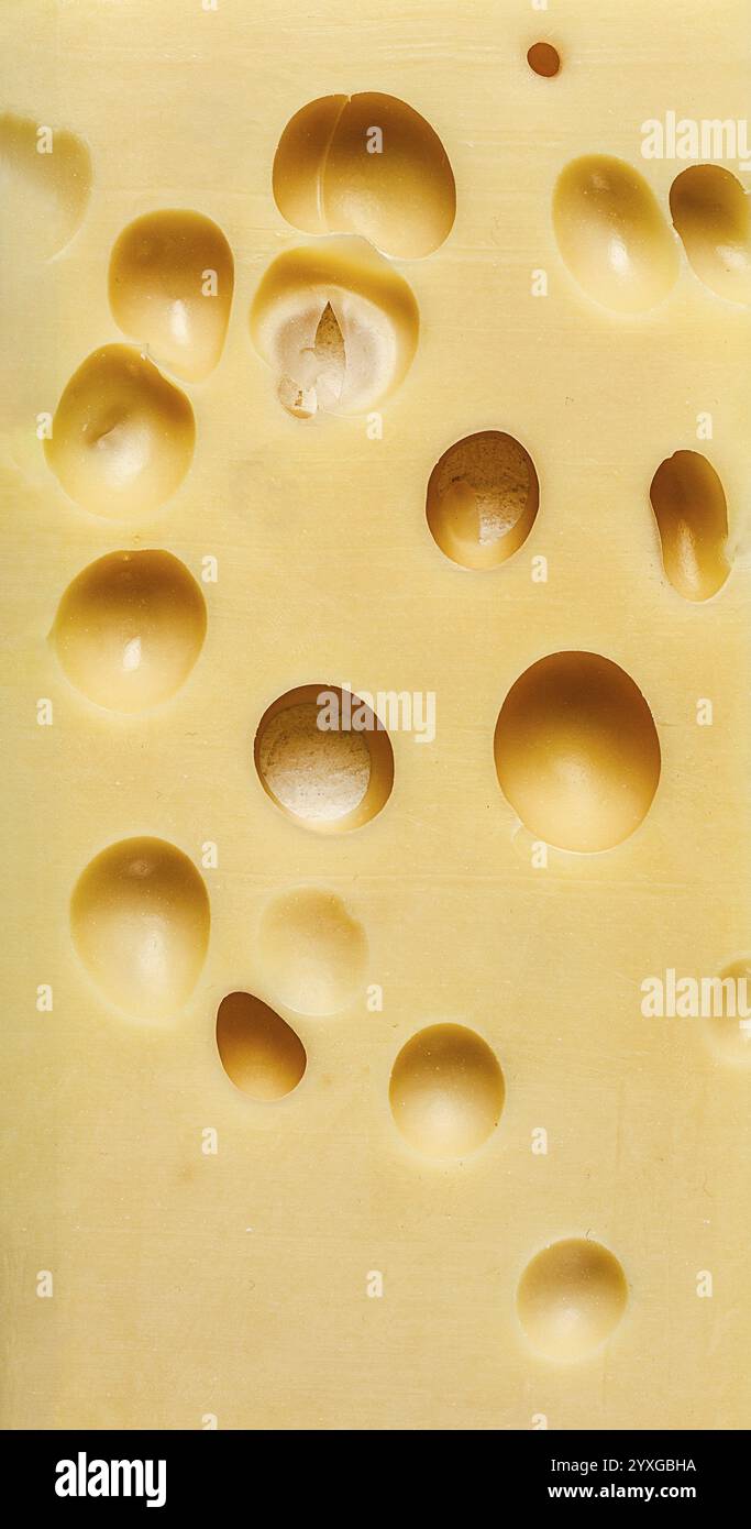 This cheddar cheese block showcases its unique holes and smooth surface ...