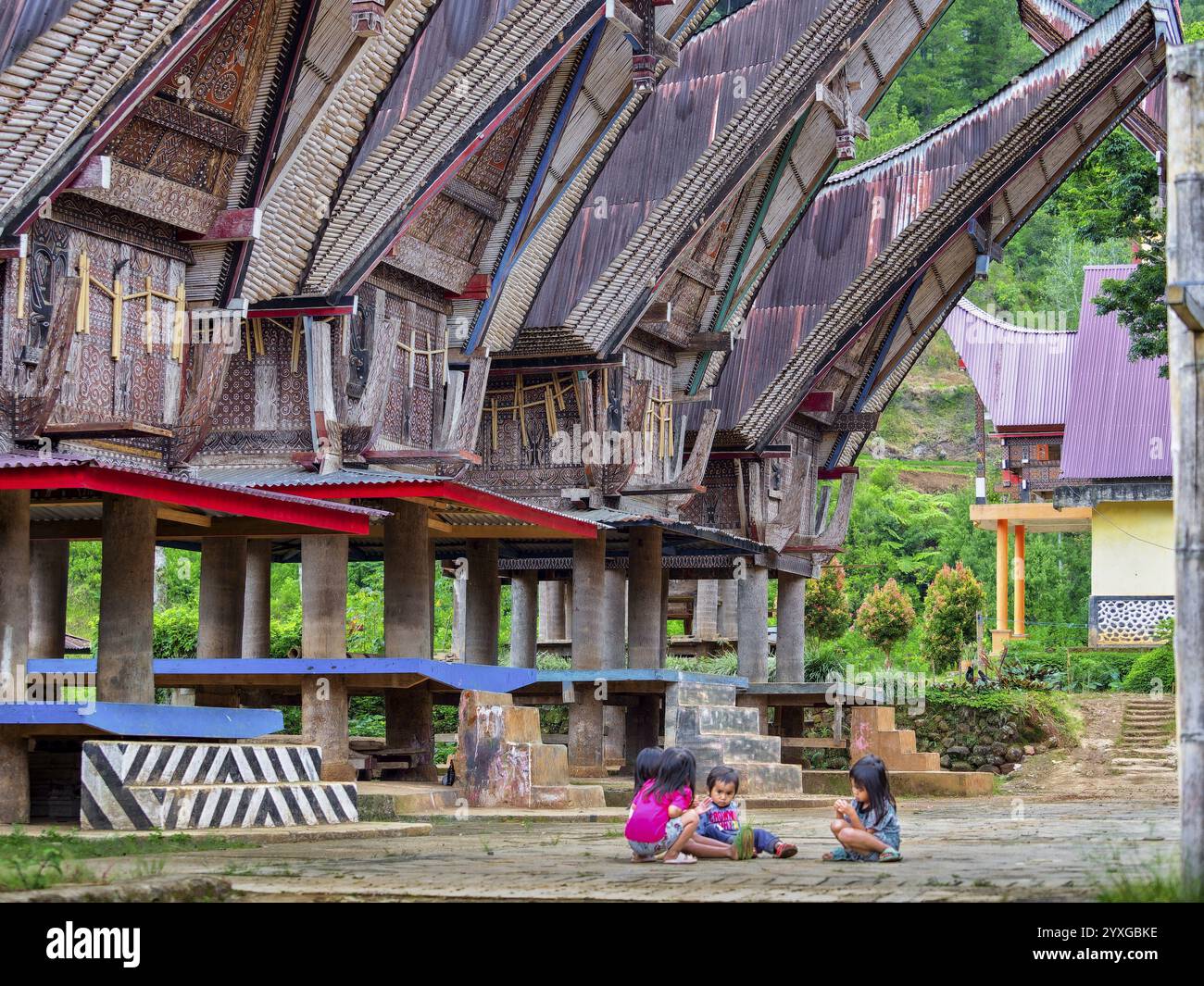 Traditional Toraja houses, children playing, Limbong village, Tana ...