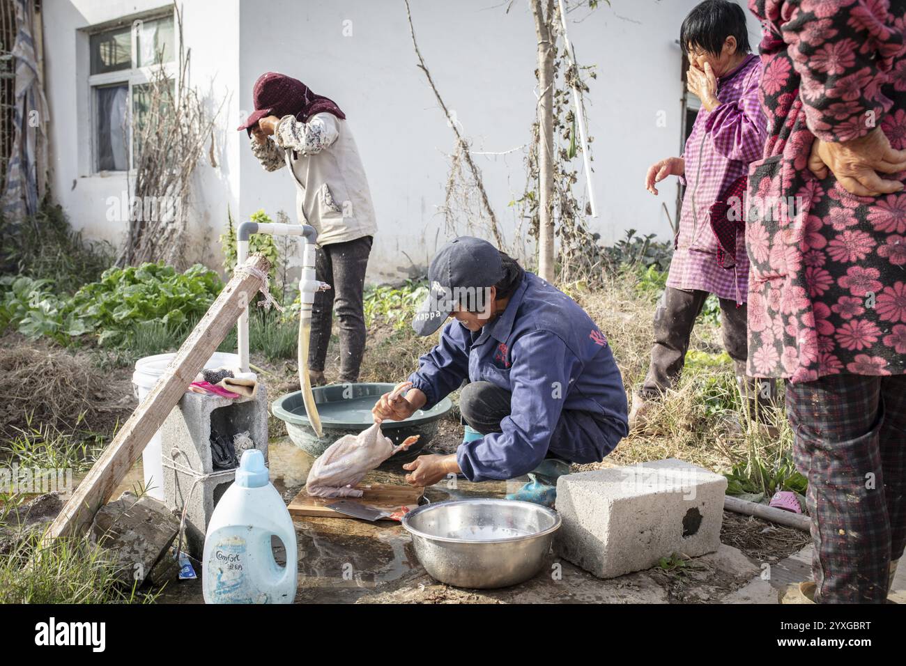Lu Jua Ling prepares a duck for her colleagues to eat, Duck Breeding ...