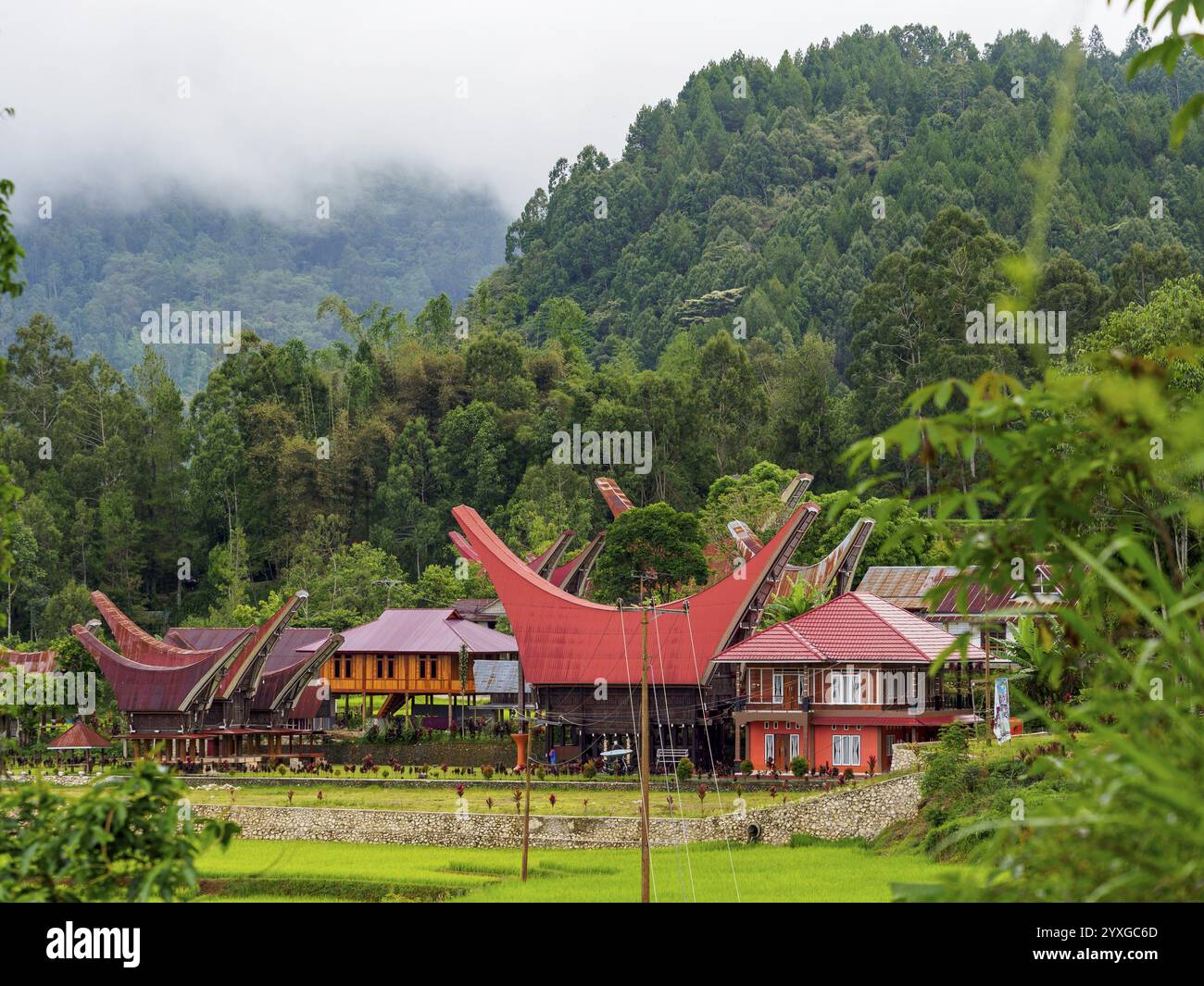 Traditional Toraja houses, tropical mountain landscape, Tana Toraja ...