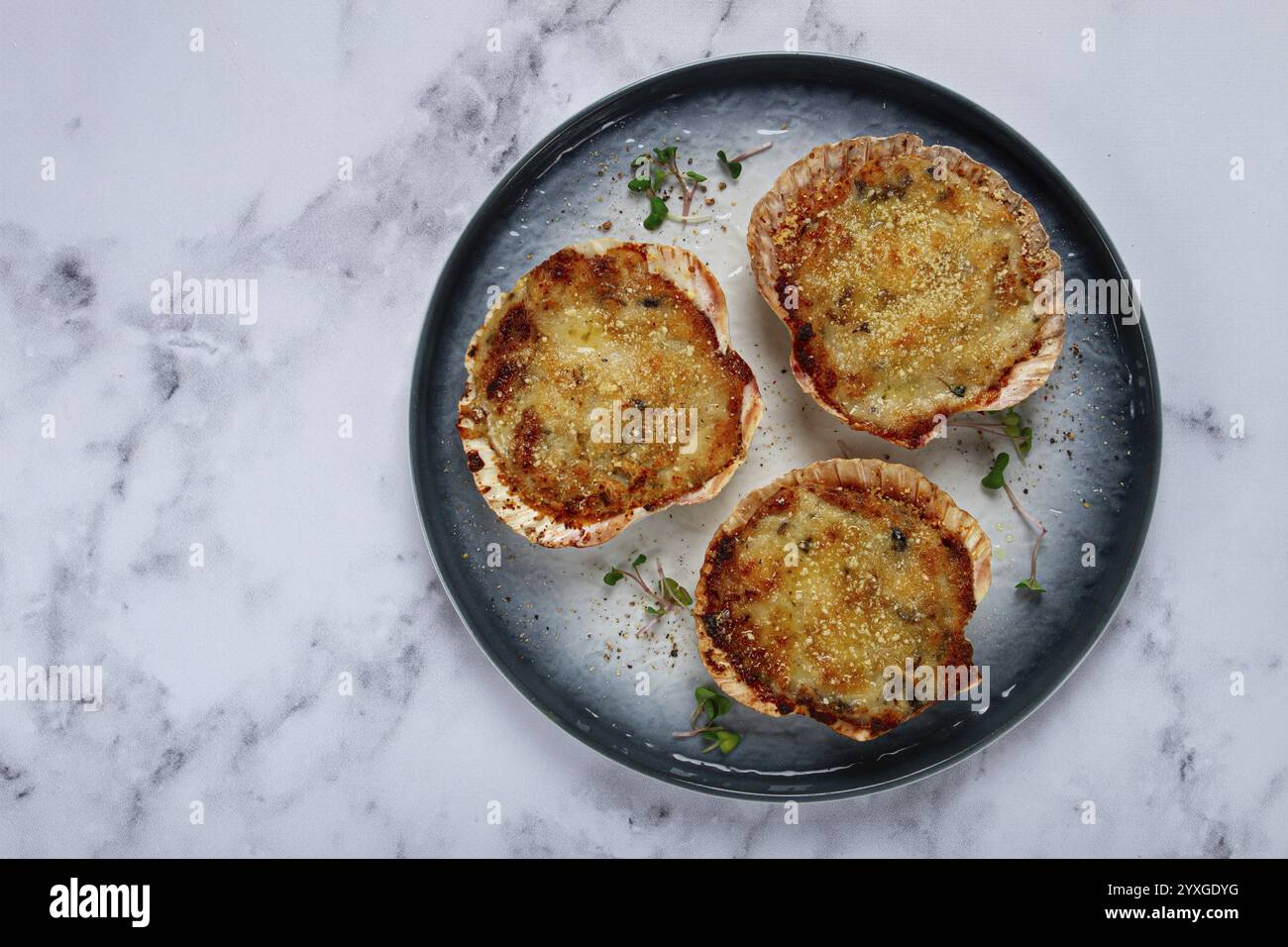 Scallop shells, stuffed, baked with cheese, in the oven, julienne with ...