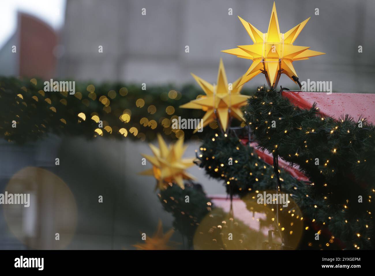 Shining stars, fir greenery and fairy lights in festive decorations at ...