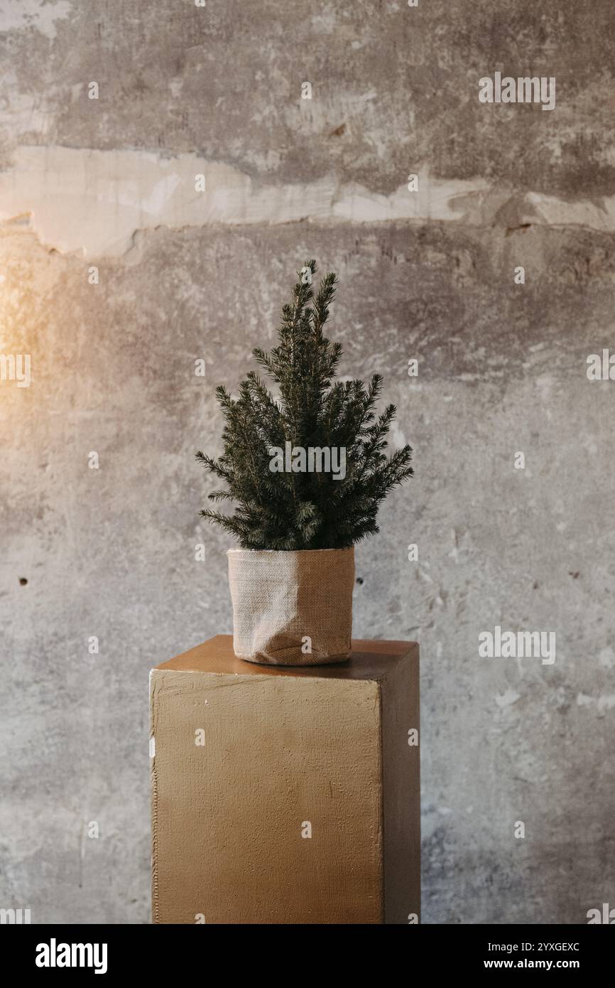 Concrete planter wall hi-res stock photography and images - Alamy