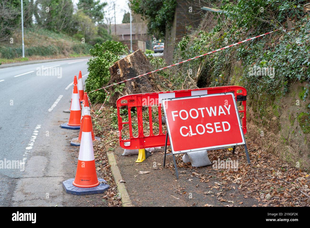 'Footway Closed' sign on UK pavement blocked by debris from fallen tree ...