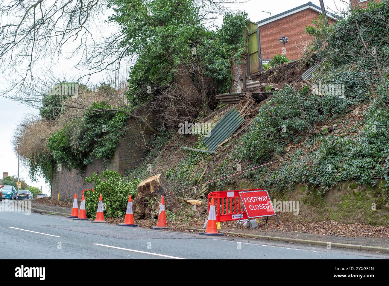 Debris from a fallen tree after Storm Darragh causing UK pavement to be ...