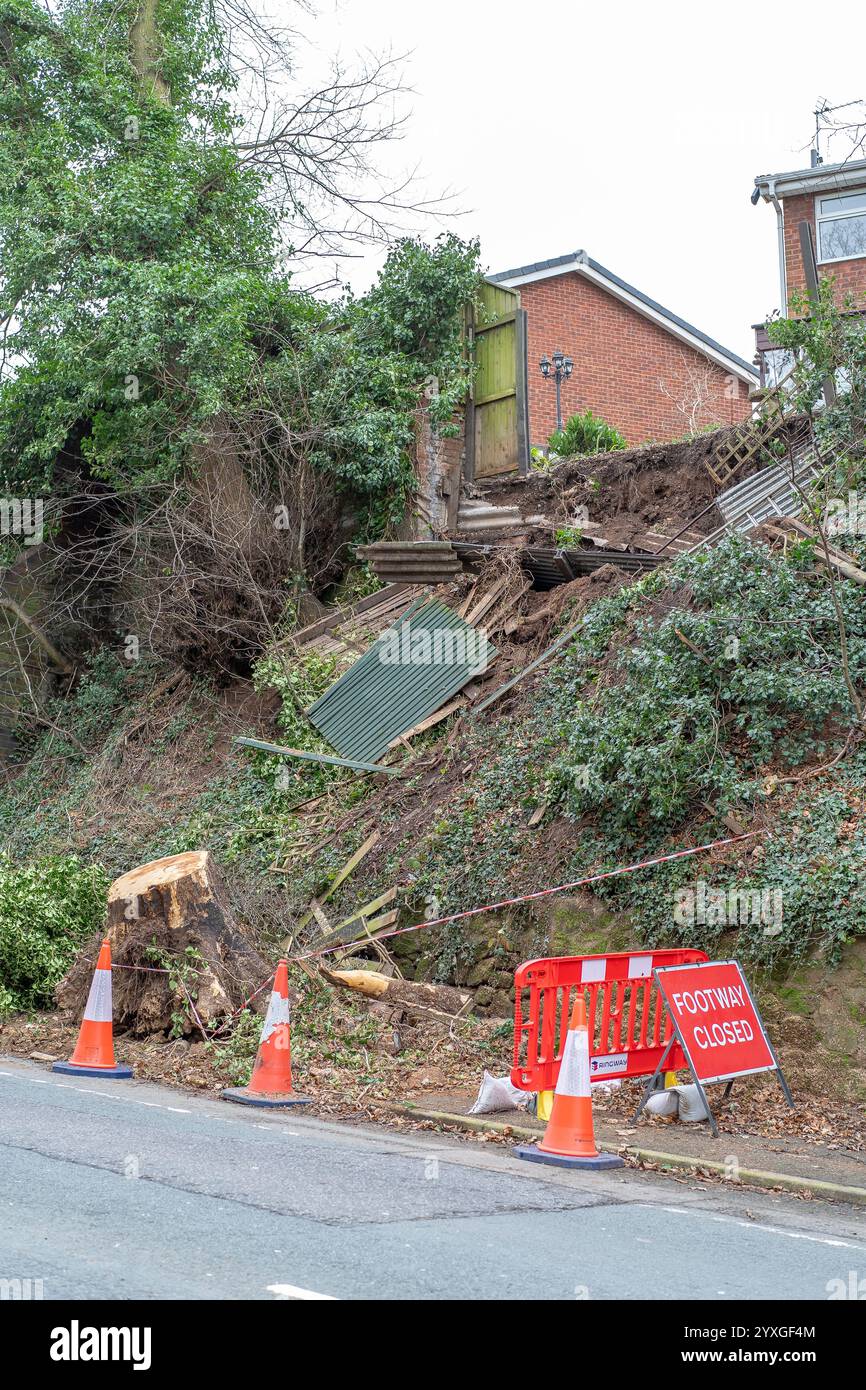 Debris from a fallen tree after Storm Darragh causing UK pavement to be ...