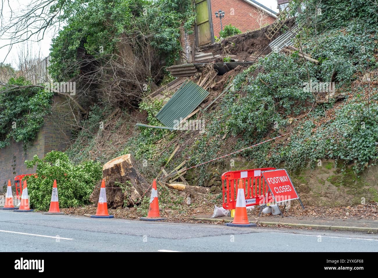 View of a footway closed sign on a pathway where the root of a fallen ...