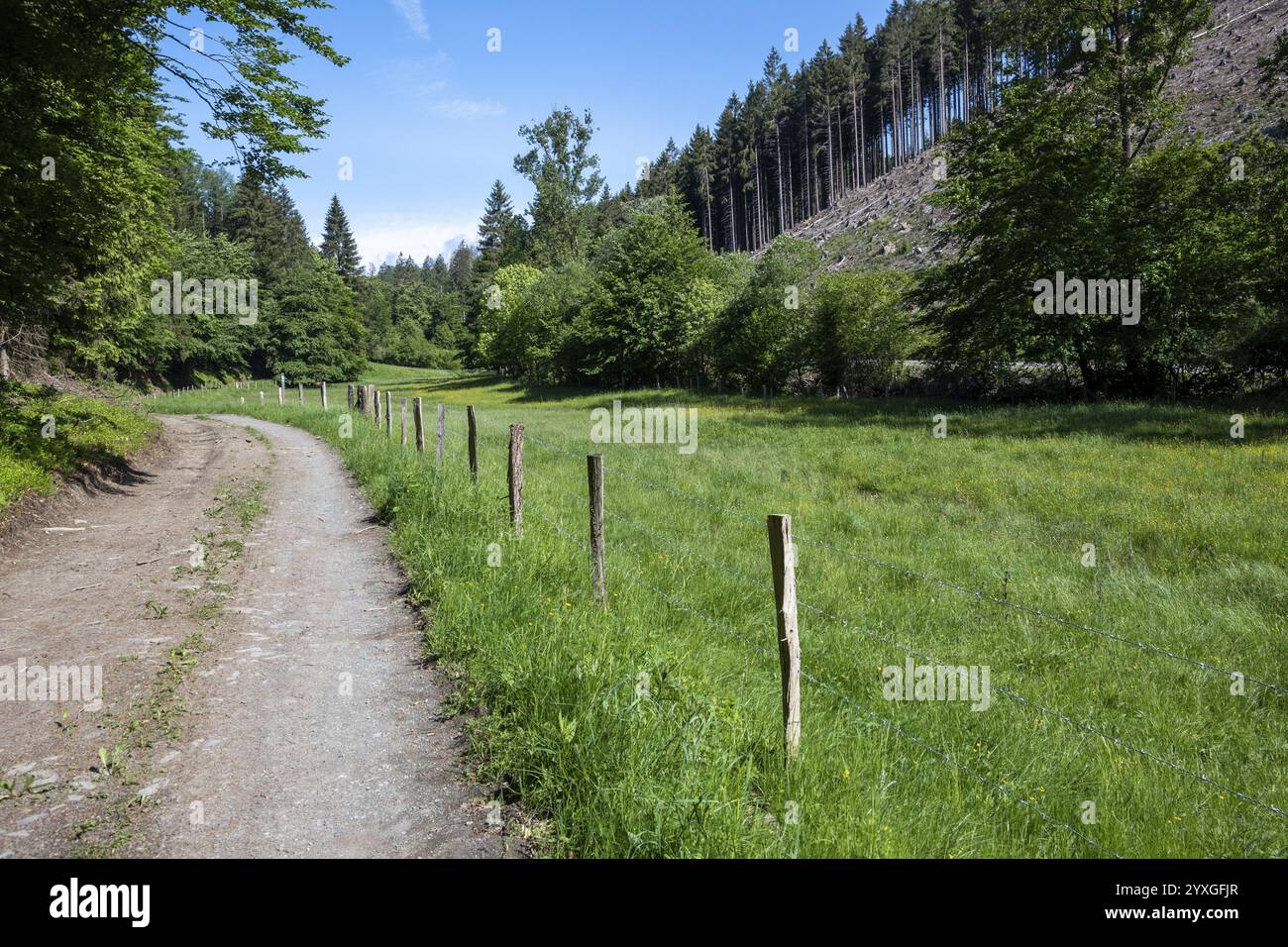 Beautiful roads landscapes in hi-res stock photography and images - Alamy