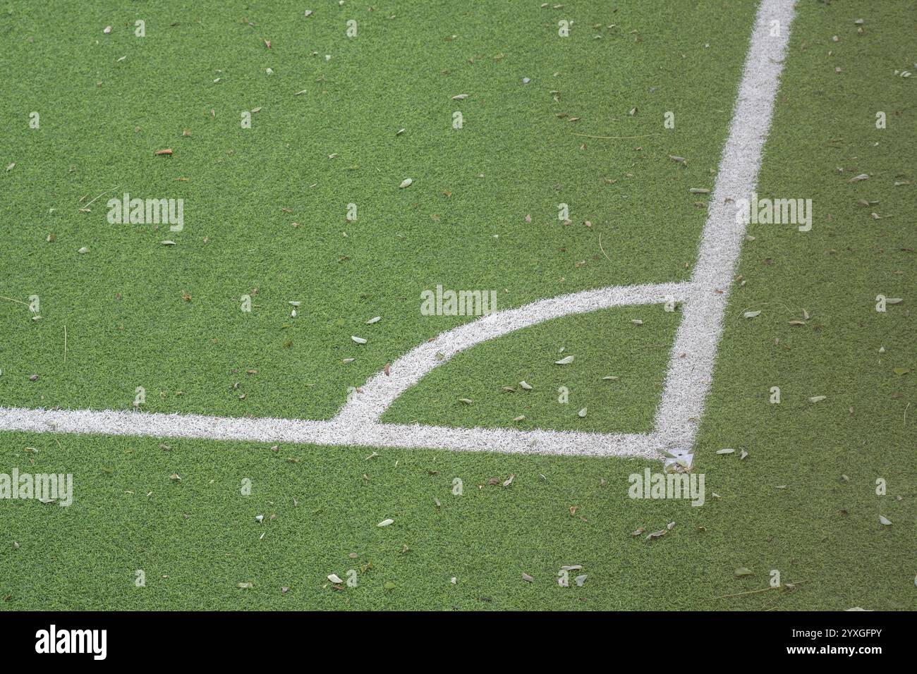 Partial image of green artificial turf in sports stadium Stock Photo ...