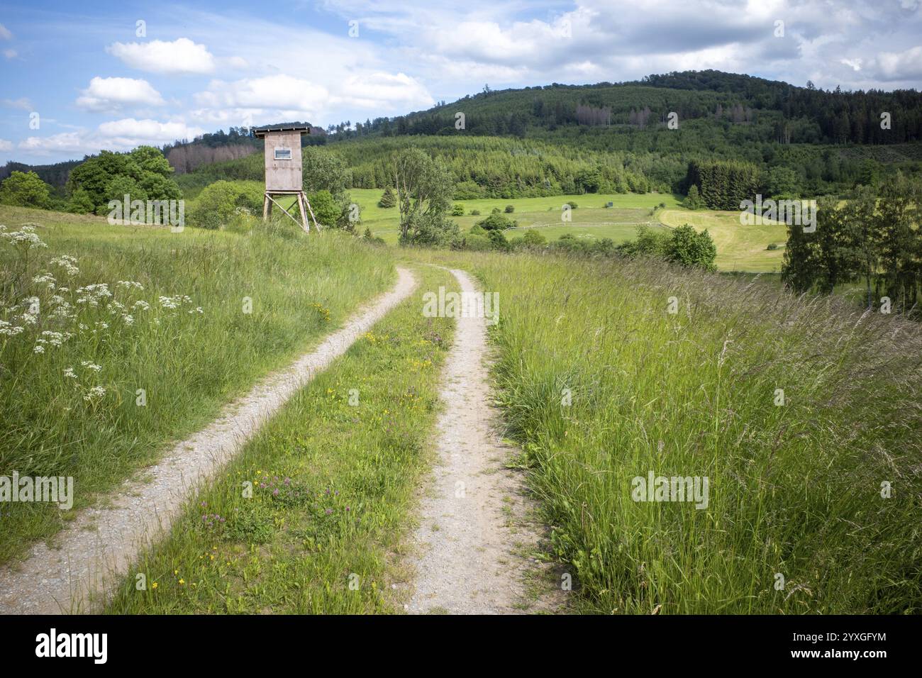 Beautiful shot country road hi-res stock photography and images - Alamy