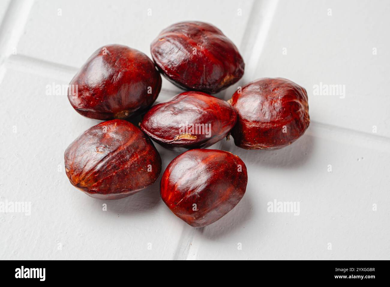 Jengkol tree hi-res stock photography and images - Alamy