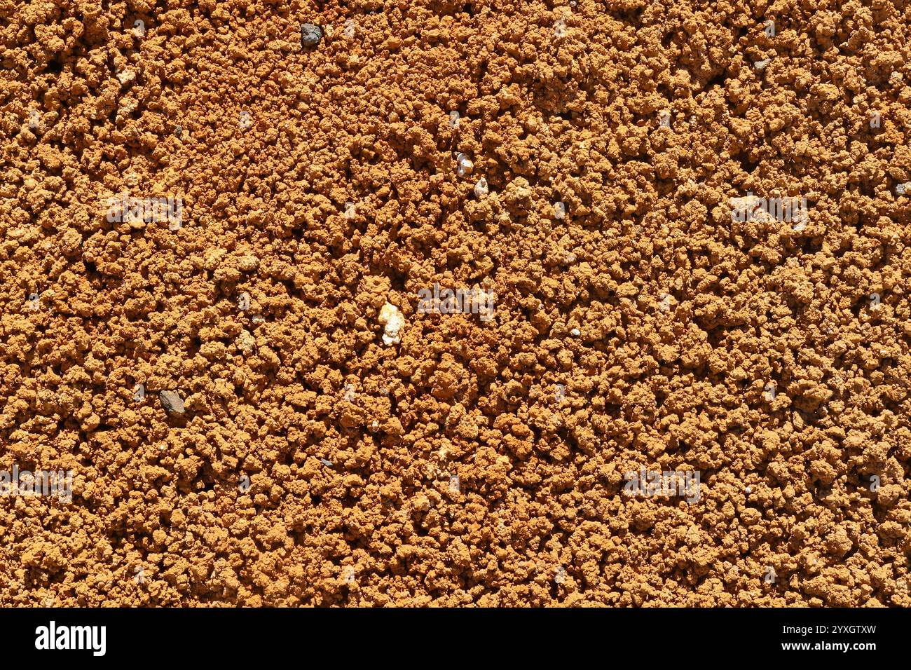 Orange sand texture background in petrified savannah of Caribbean ...