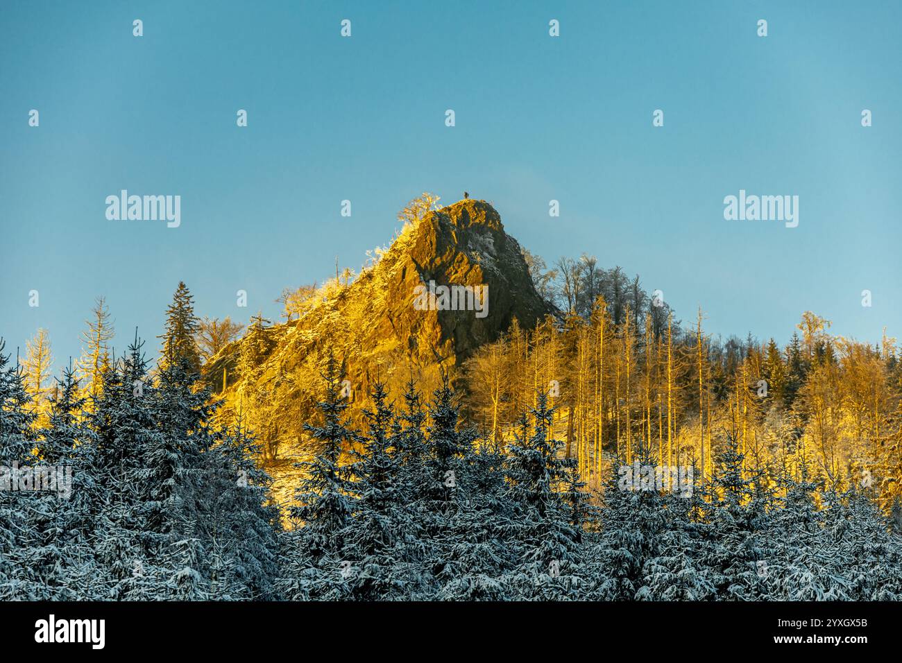 Winter hike through the Thuringian Forest near Oberhof and ...