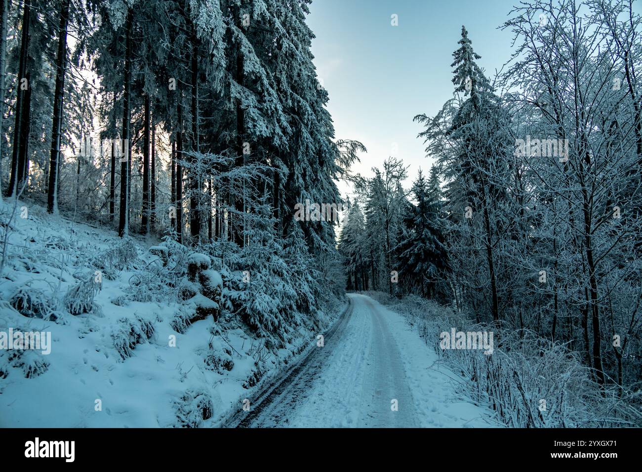 Winter hike through the Thuringian Forest near Oberhof and ...
