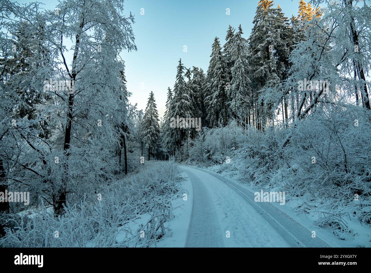 Winter hike through the Thuringian Forest near Oberhof and ...