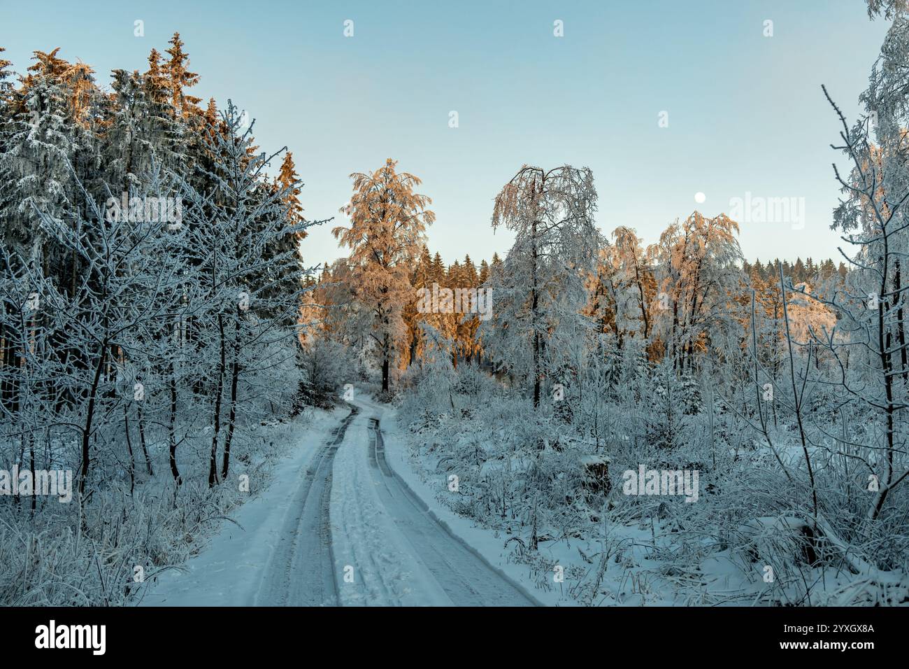 Winter hike through the Thuringian Forest near Oberhof and ...