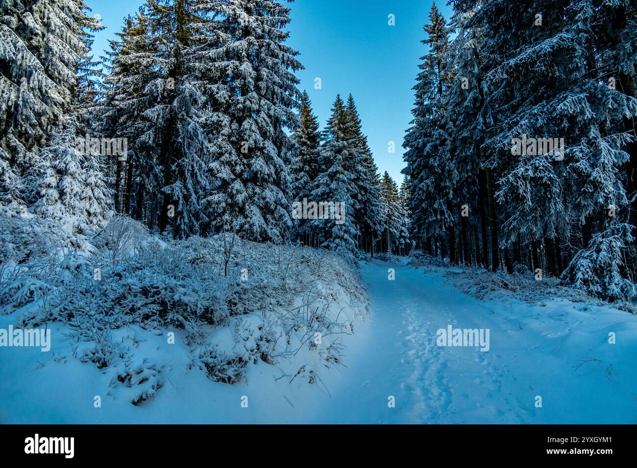 Winter hike through the Thuringian Forest near Oberhof and ...
